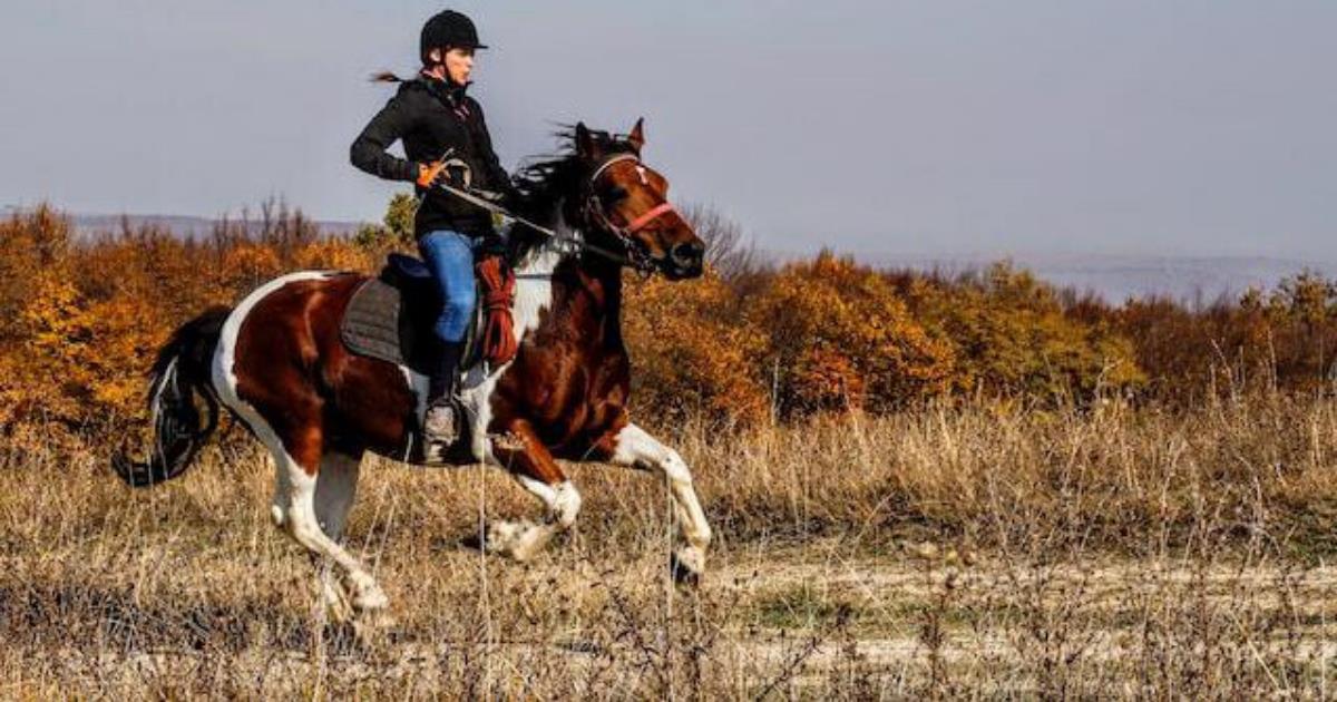 How to Prepare for a Horseback Riding Vacation