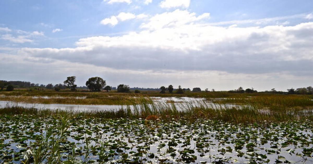 The Top 5 Most Popular Things to Do in Loxahatchee