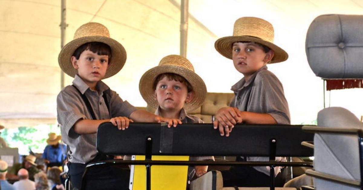 Amish Traditions: Lancaster County Carriage and Antique