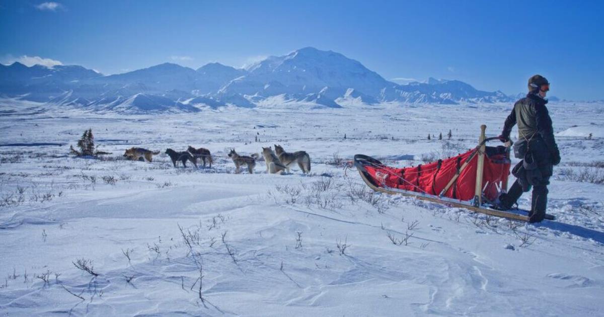Embracing Alaska’s Winter Wonderland: A Guide to
