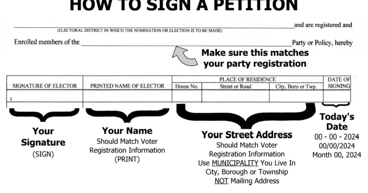 What are Nomination Petitions (Petitions for Election)?